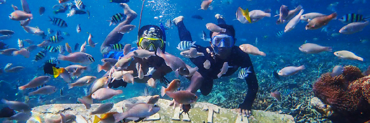 Tips Murah “Finding Nemo” di Pulau Pahawang | Iziroam.com